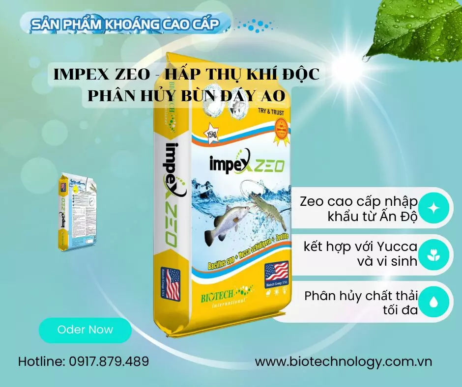 IMPEX ZEO – TÔM – BIOTECH INTERNATIONAL